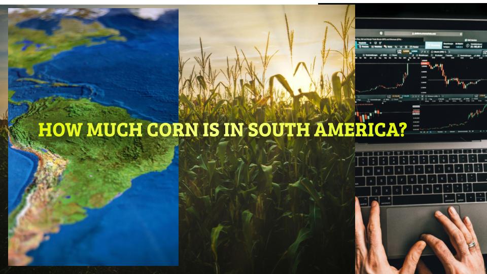How Much Corn is in South America, and How is it Affecting North ...